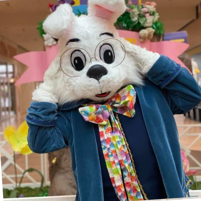 Where Is Bunny - Foothills Mall | Foothills Mall